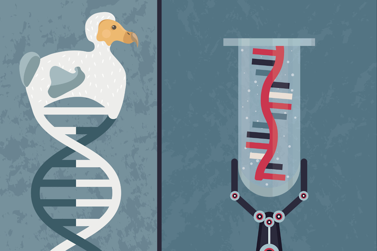 Scientists Might Bring Back These 7 Extinct Animals | Discover Magazine