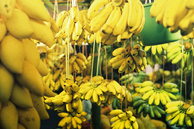 Banana | Discover Magazine