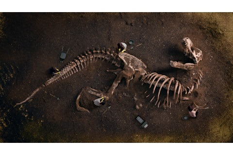 How Scientists Reconstruct What Dinosaurs Looked Like | Discover Magazine