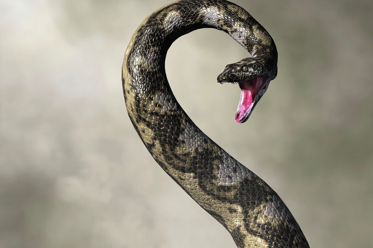 Titanoboa Was a 45-Foot Long Giant Snake That Ruled Prehistoric Earth ...