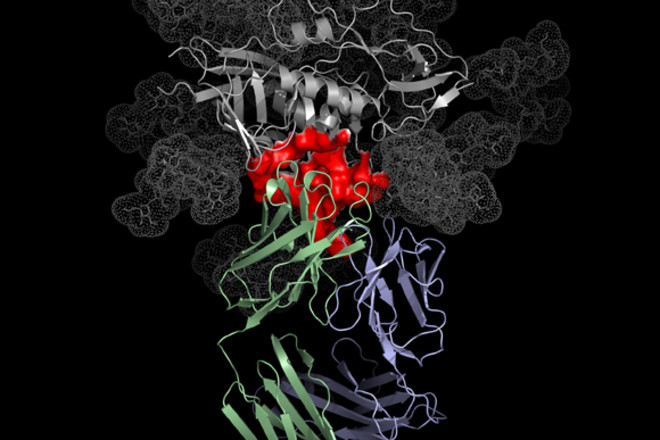 Could Modified Proteins Build the Microfactories of the Future ...