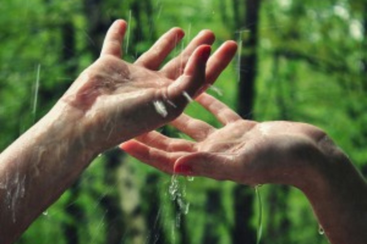 Why do wet things feel wet? | Discover Magazine