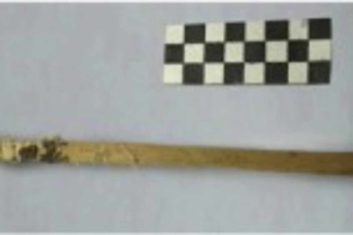 Eggs from ancient poopy "toilet paper" prove parasites also traveled ...